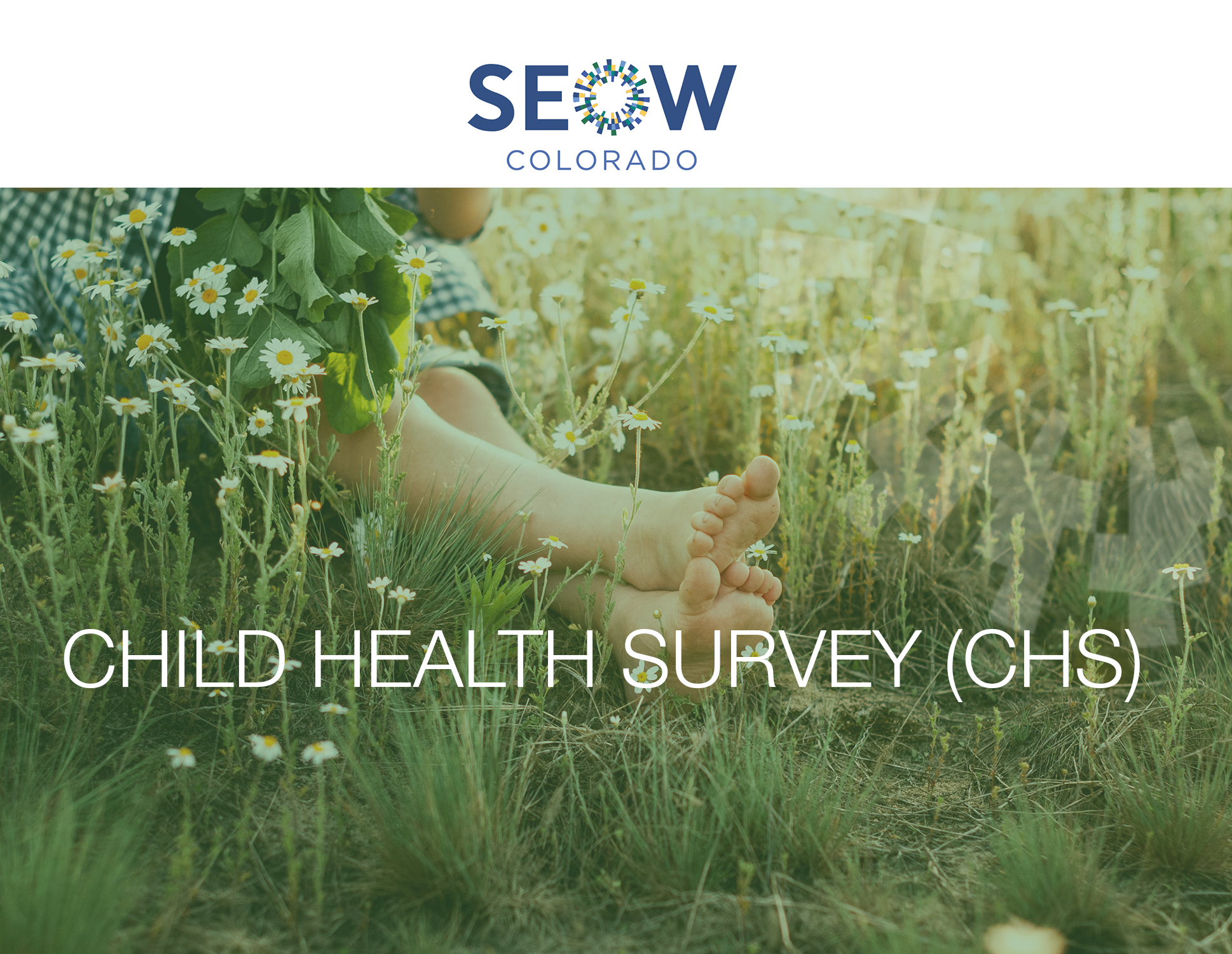 Data Resources | Colorado State Epidemiological Outcomes Workgroup